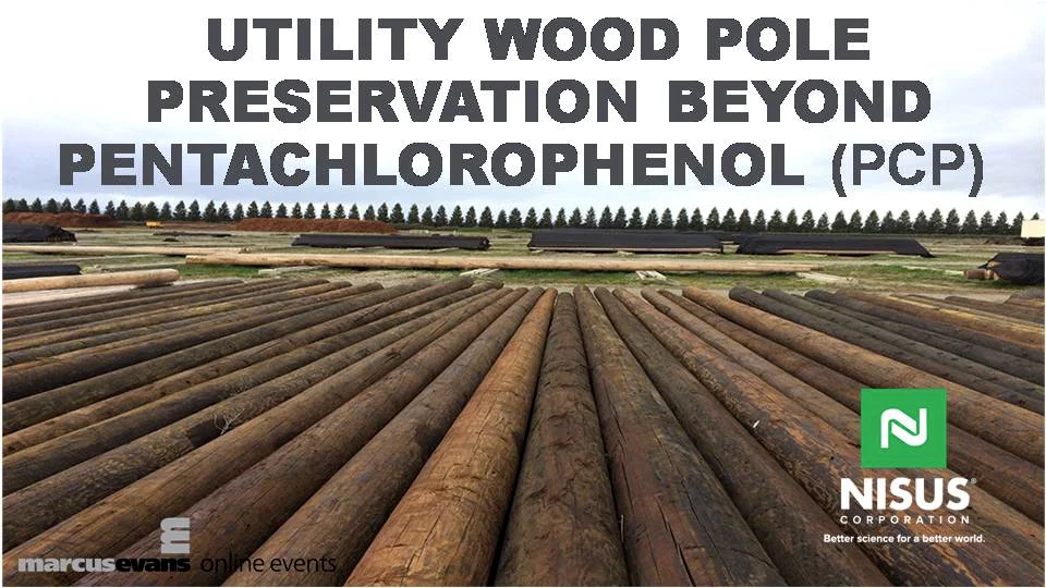 marcus evans Energy & Utilities Insights - Utility Wood Pole Preservation beyond ...