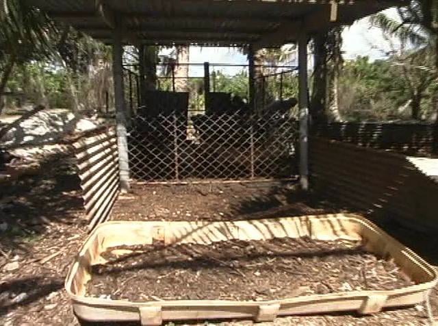 Dry Litter Piggery on Vimeo