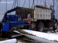 Bio Chopper Compact TI530 Shredder | Weterings Machinery