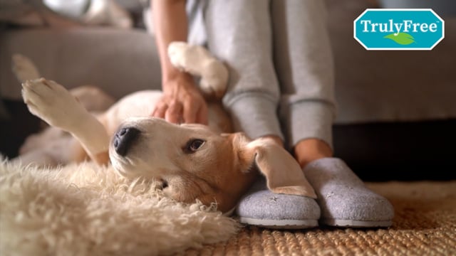 2 Pack Everyday Cleaner Refills | Truly Free