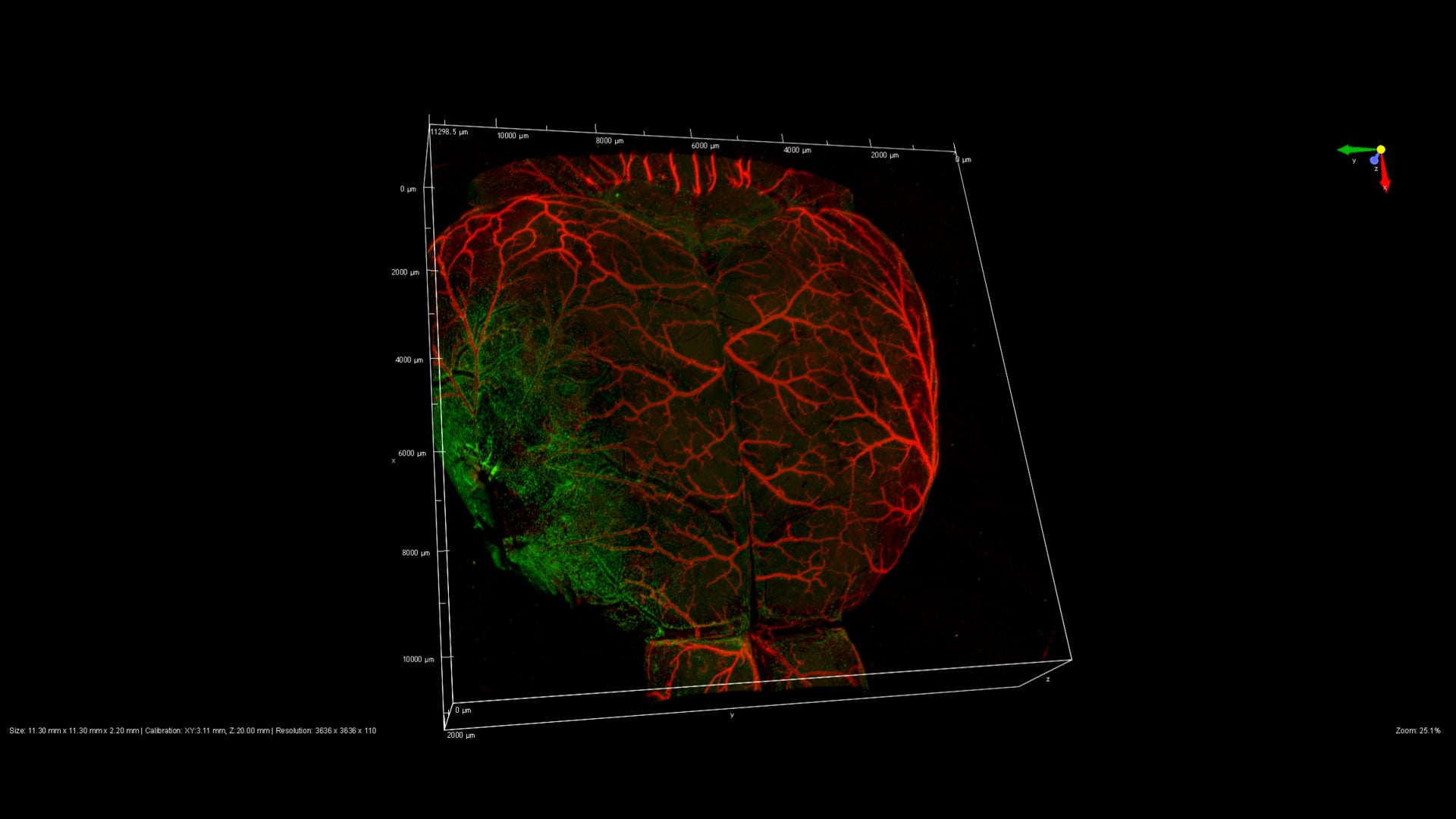The Laboratory of Neurotrauma Research