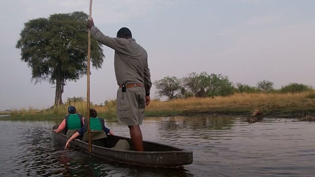 Boat, African, Water. Free Stock Video - Pixabay
