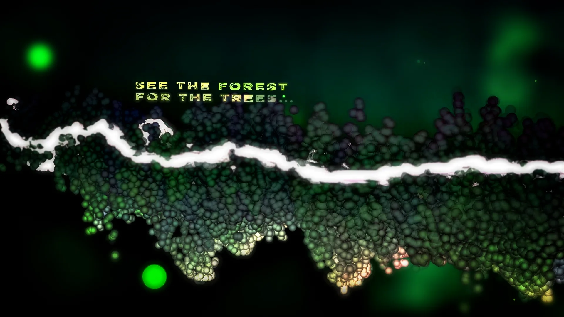 THE FOREST on Vimeo