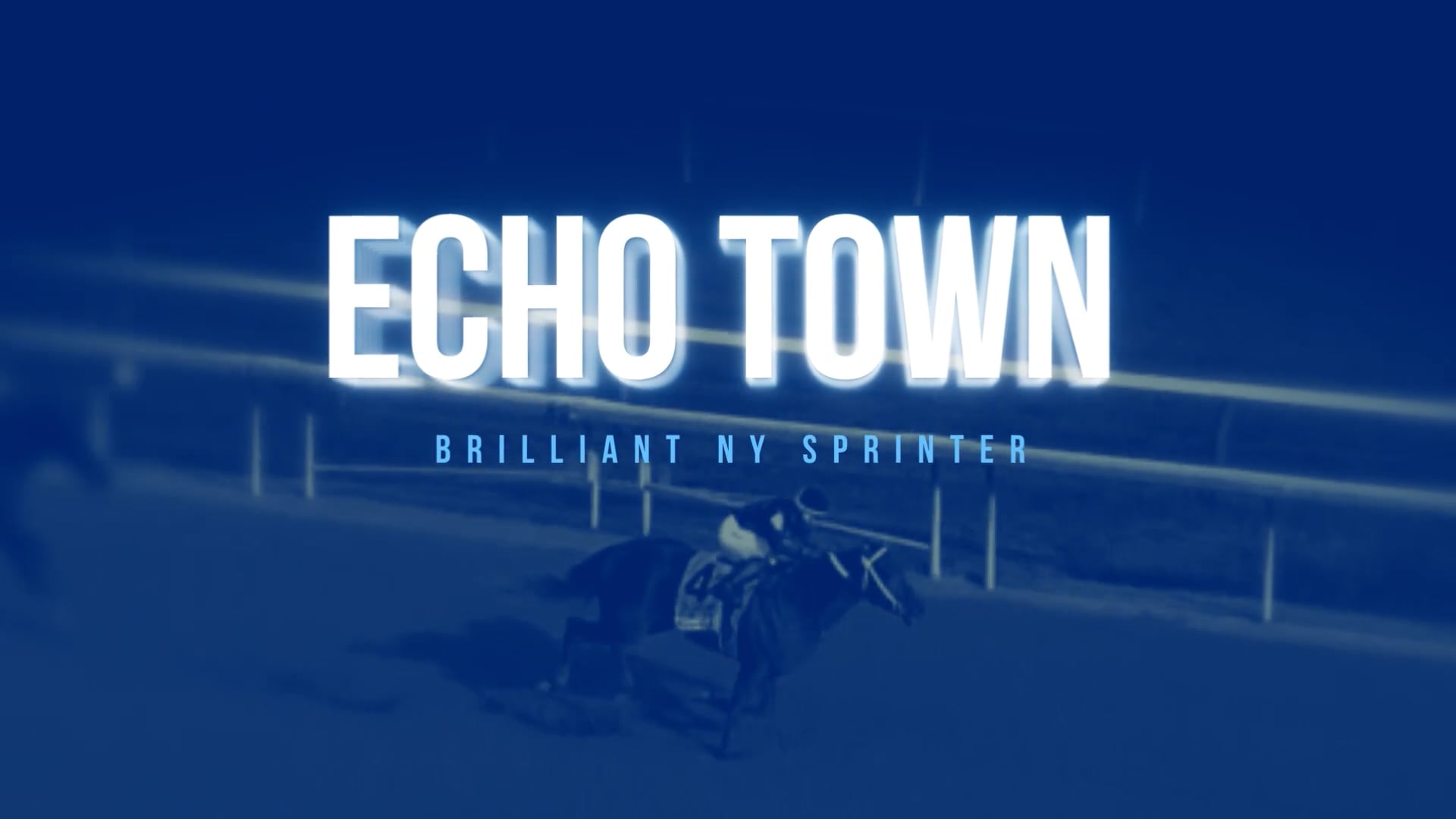 Echo Town | Stallions - Coolmore America