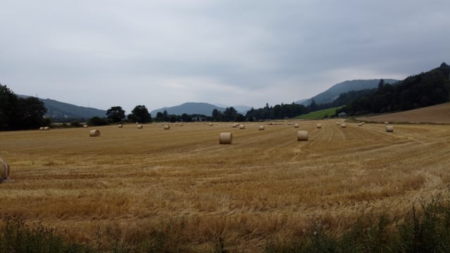 Hay Field Meadow - Free video on Pixabay