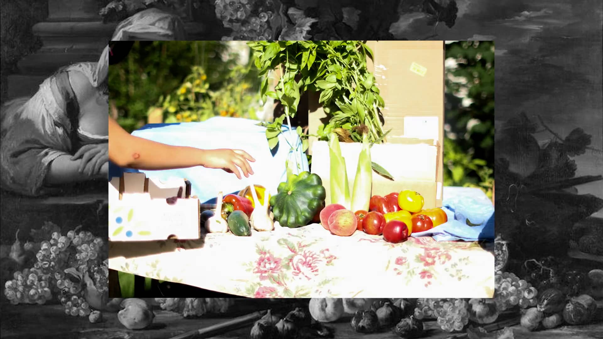 Elizabeth Xu / Unstilled Life on Vimeo