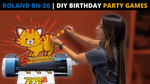 Roland BN20 - ColDesi