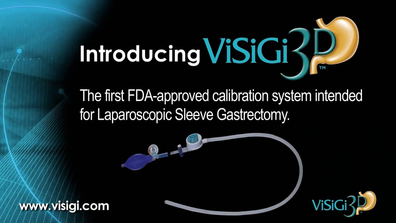 ViSiGi 3D® Full Product Video on Vimeo