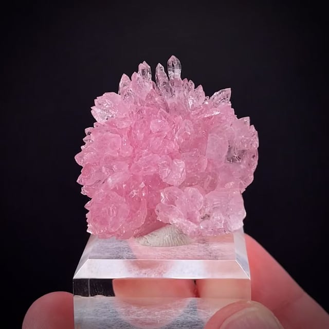 Rose Quartz - superb miniature | Alto da Pitorra, Laranjeiras, Galileia ...