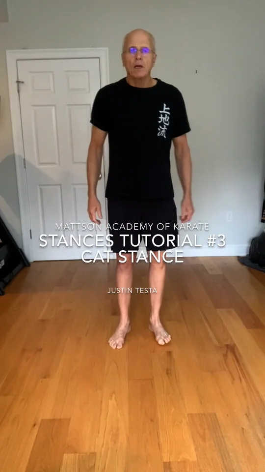 Stances Tutorial #3 - Cat Stance on Vimeo