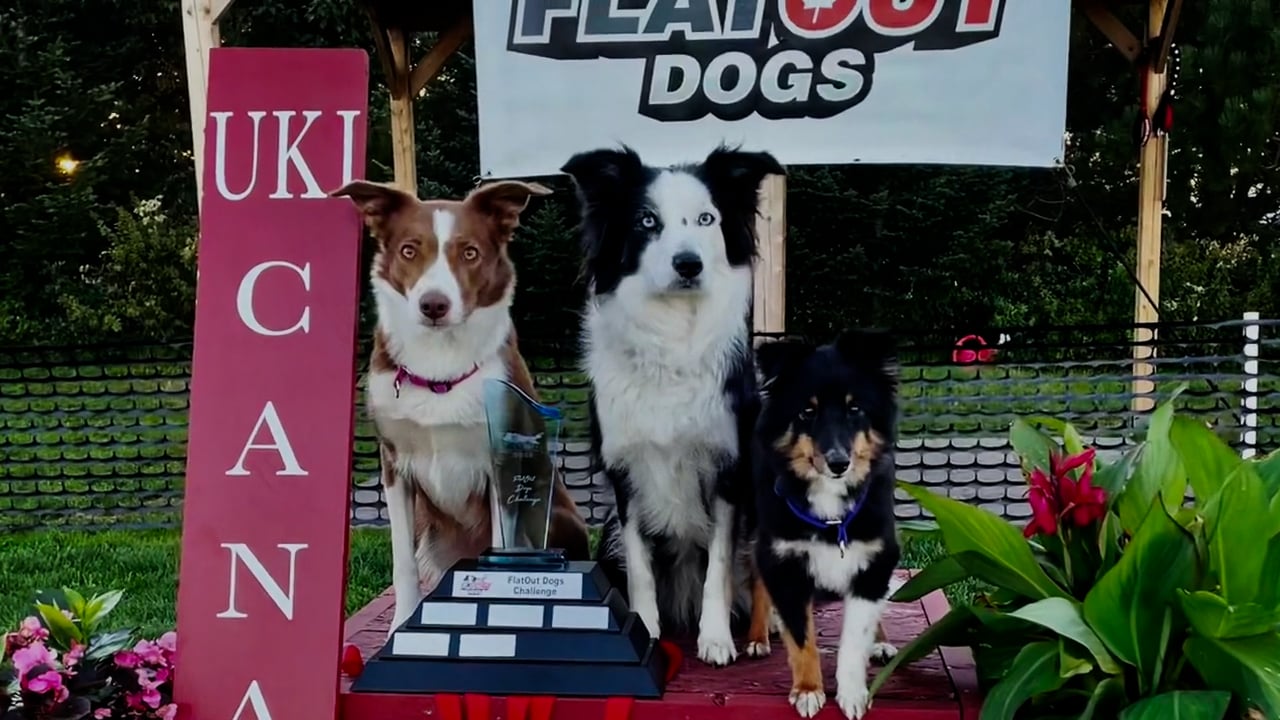 Flat Out Dogs UKI Classic 2021 - Lux! on Vimeo