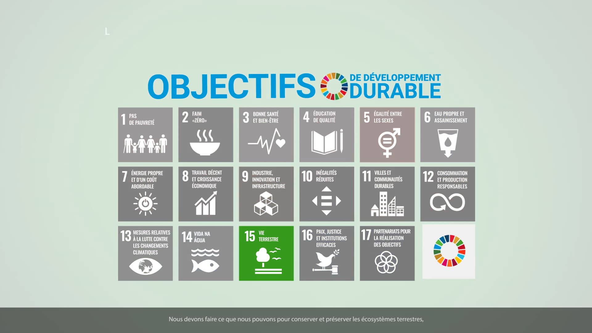 ODD 15 - Sous-titres on Vimeo