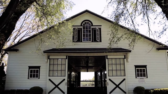 Visit - Spendthrift - A Kentucky Thoroughbred Stallion Farm