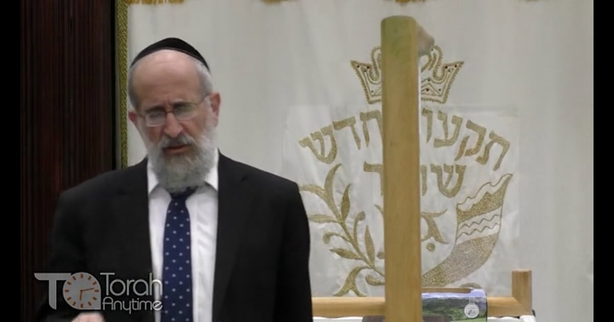 R' Yisroel Reisman | Late Night Mishmar With Rabbi Reisman # 81 - The ...