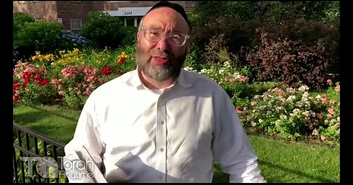 R' Maimon Elbaz | Join Me and My Team Take TorahAnytime to the Next Level