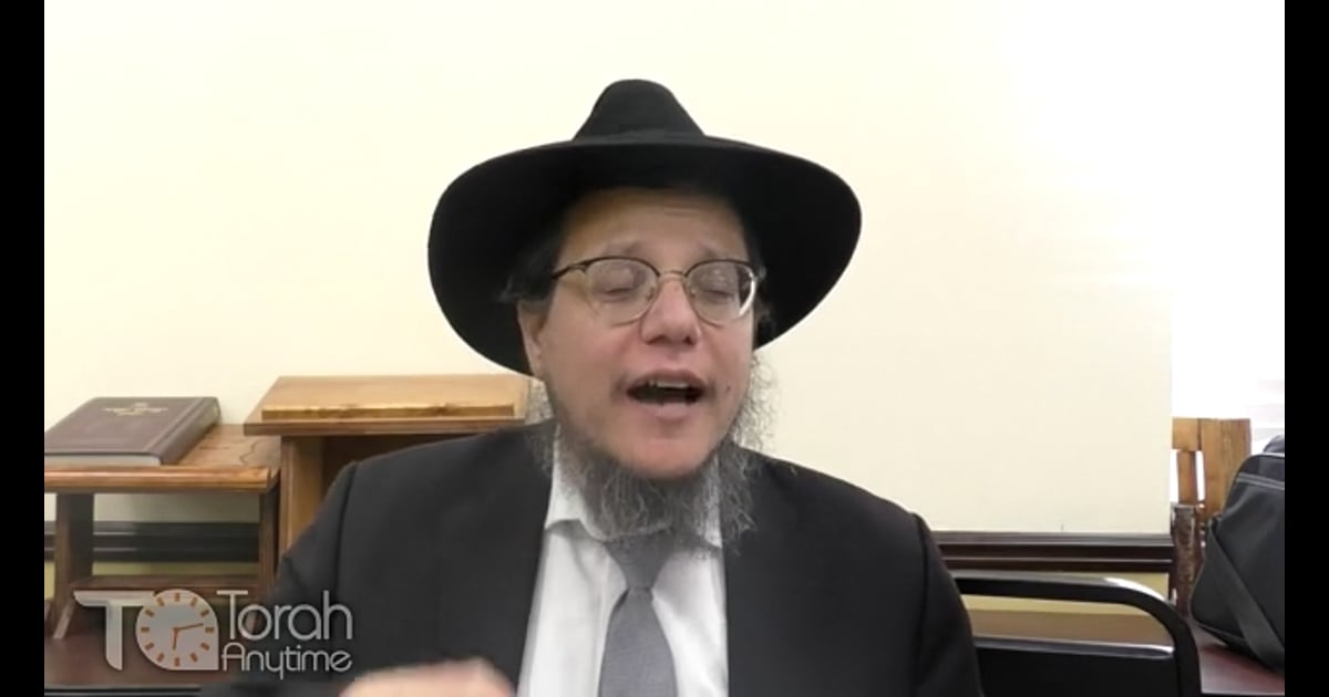 R' Shlomo Cynamon | Lomdut on Afikoman - The Brisker Rav