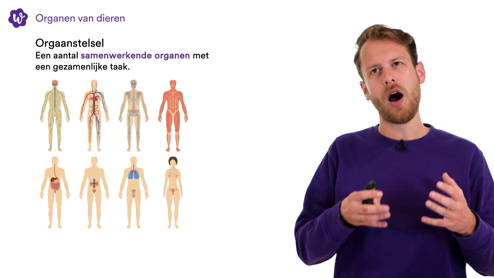 Organen van dieren oefenen | StudyGo