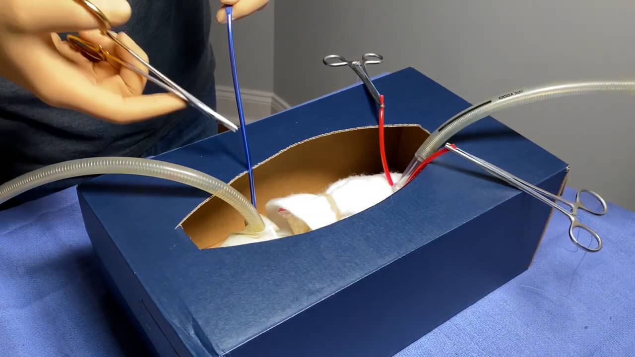 M - Cardiac Surgery Simulation - Part II Cannulation on Vimeo