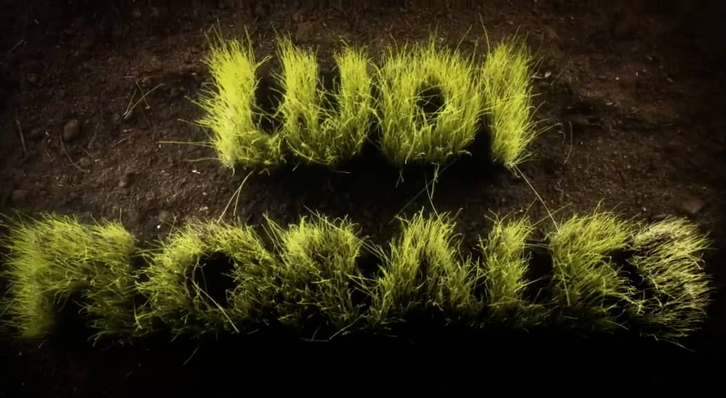 LUDI FLORALES on Vimeo