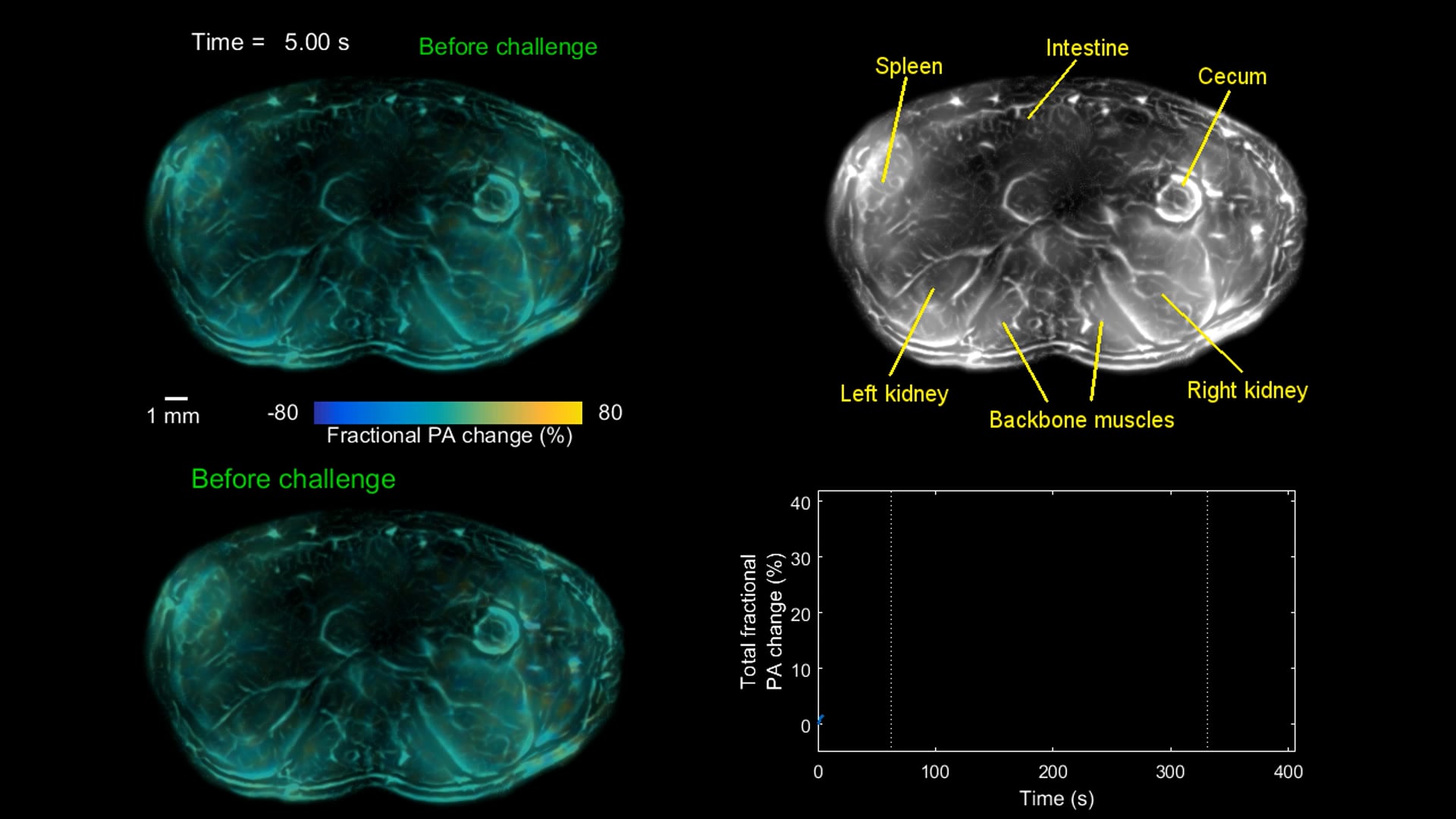 Supplementary Video 10 on Vimeo