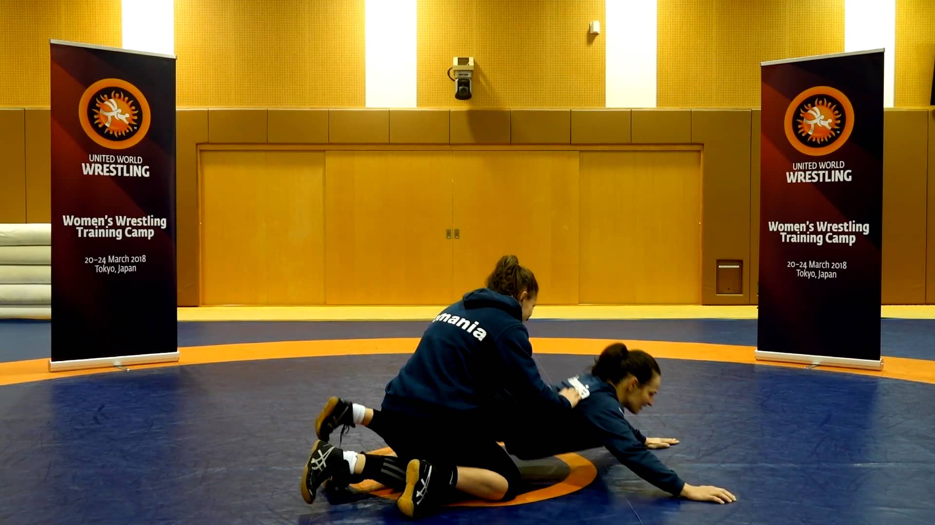 S4l9half Nelsonpin1 On Vimeo