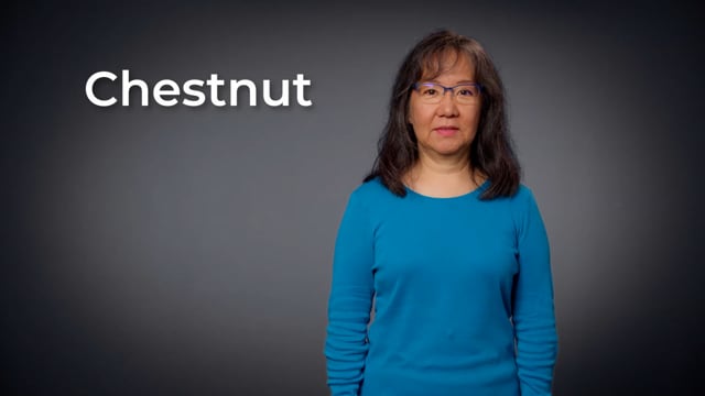 Chestnut | SEE Signs ESC Region 13