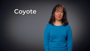 Coyote | SEE Signs ESC Region 13