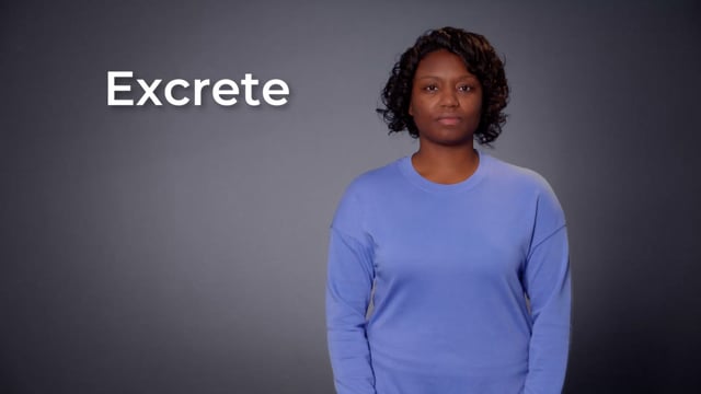 Excrete | SEE Signs ESC Region 13
