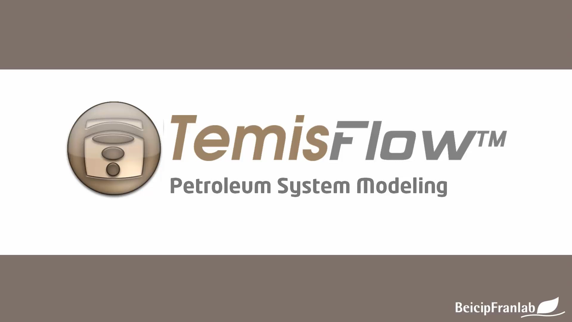 TemisFlow Presentation on Vimeo