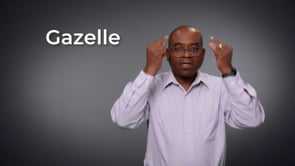Gazelle | SEE Signs ESC Region 13