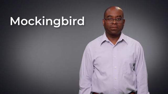 Mockingbird | SEE Signs ESC Region 13