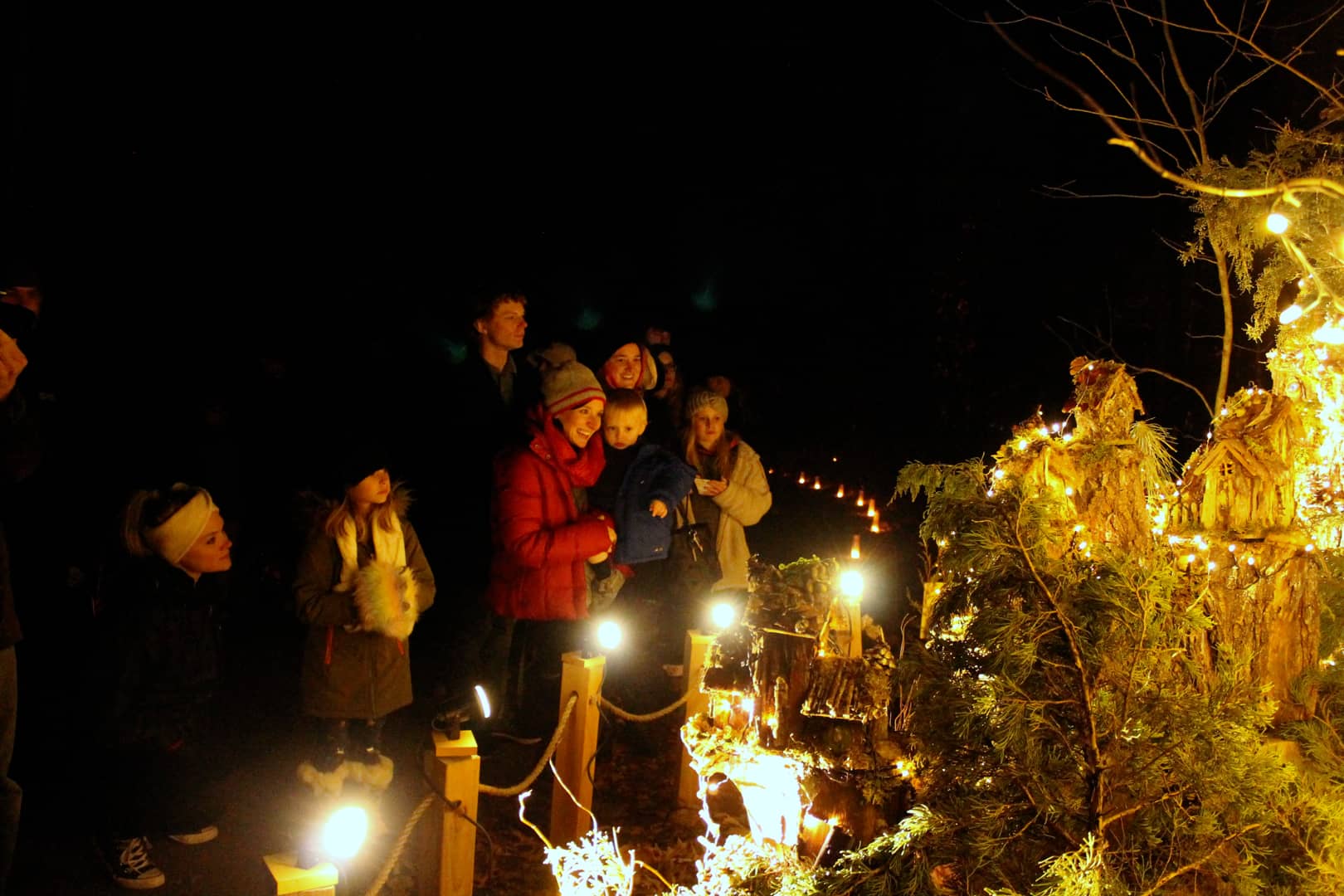 Holiday Luminary Walk at the Overland Park Arboretum & Botanical ...