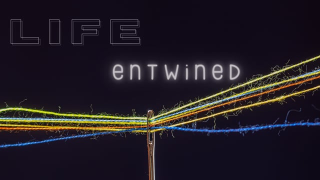 Life Entwined - Community - Believers Fellowship