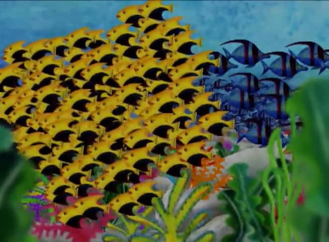 Learn the ABCs_ _F_ is for Fish(480P).mp4 on Vimeo