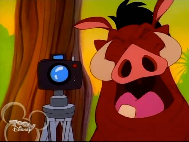 Timon and Pumbaa Toon Disney Airing on Vimeo
