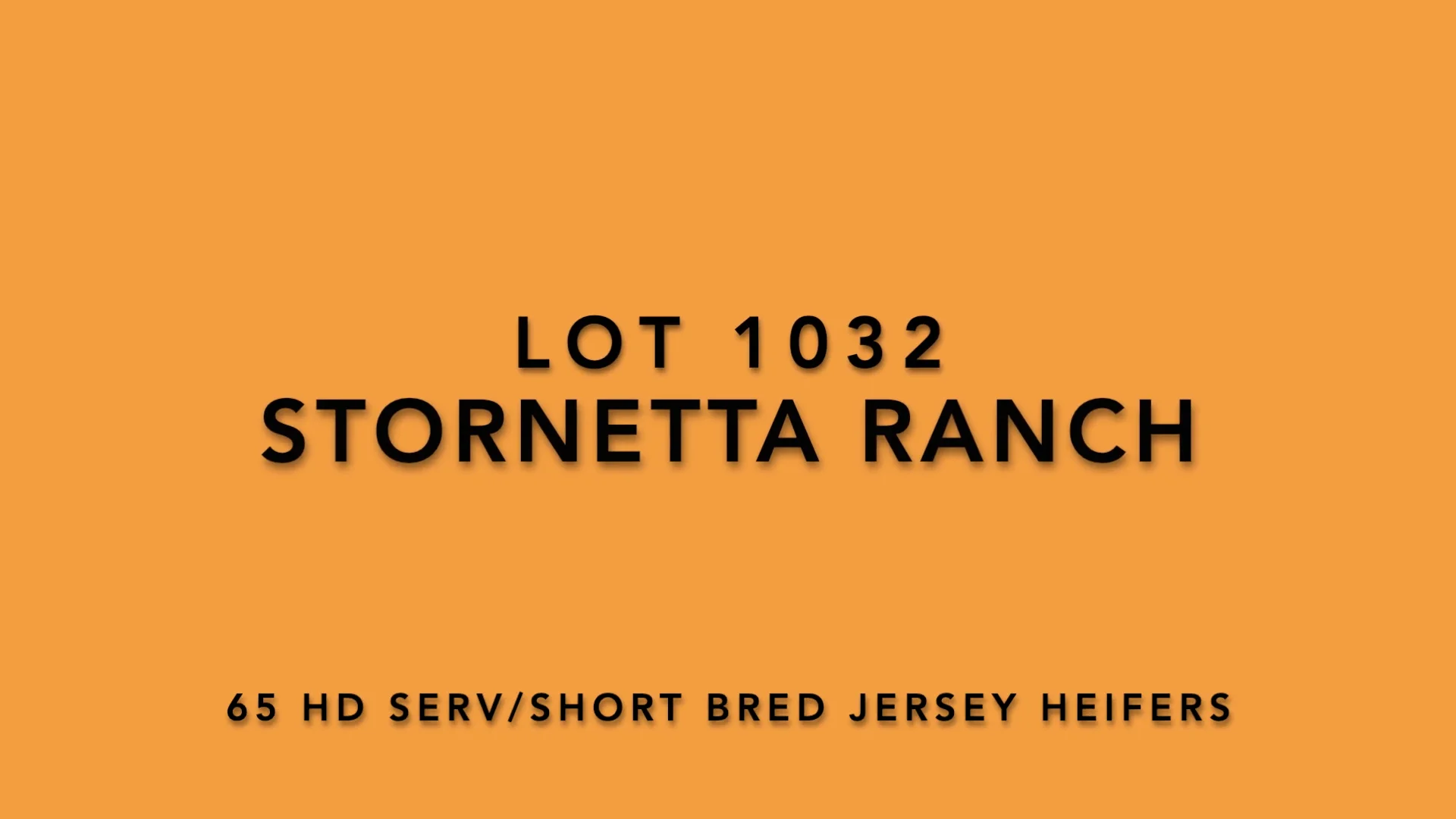 LOT 1032 STORNETTA RANCH.mp4