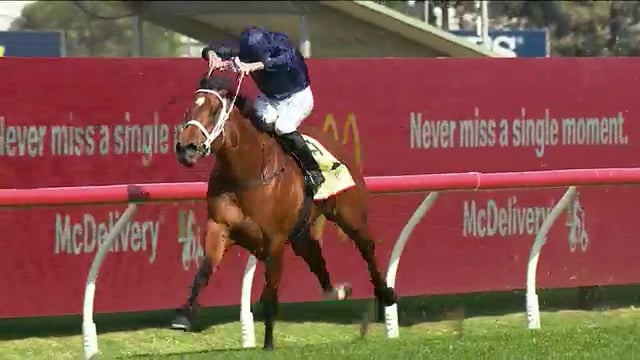 I Am Invincible - Stallion | Breednet