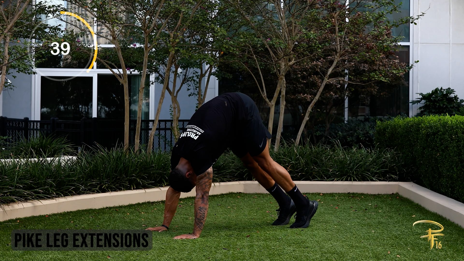 Week 1, Day 3, Lower Body, Pike Leg Extensions (Beginner) on Vimeo