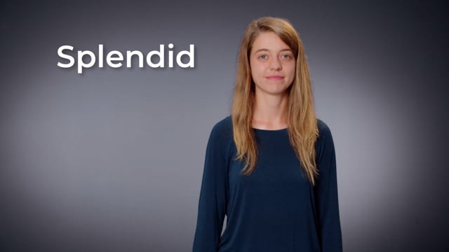 Splendid | SEE Signs ESC Region 13