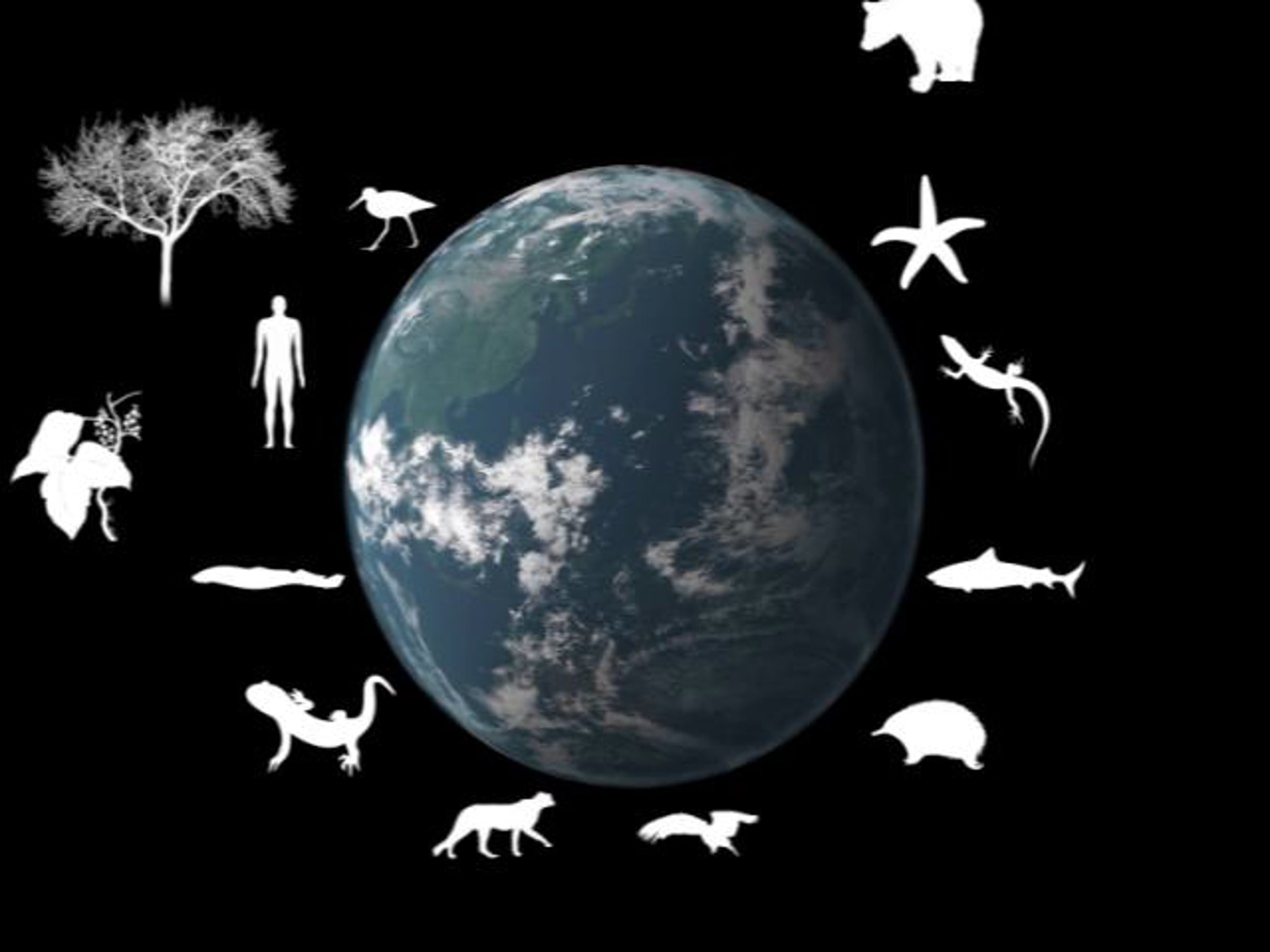 Evolution Chapter 1 Introduction