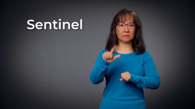 Sentinel | SEE Signs ESC Region 13
