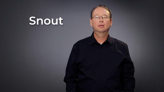 Snout | SEE Signs ESC Region 13