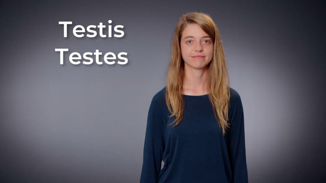 Testis (plural is Testes) | SEE Signs ESC Region 13