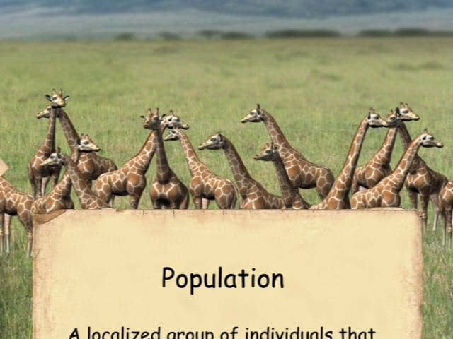 Evolution Chapter 3a Selection, Gene Flow and Genetic Drift on Vimeo