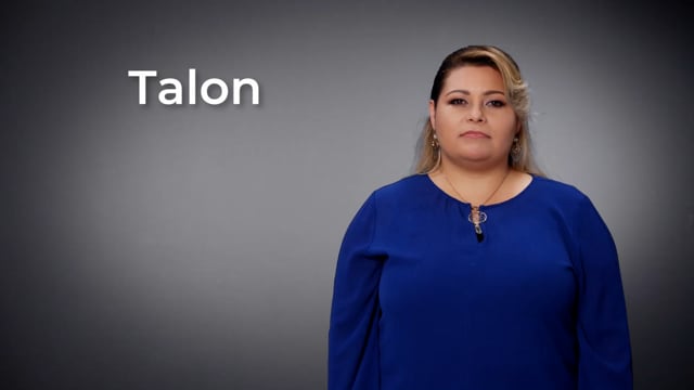 Talon | SEE Signs ESC Region 13