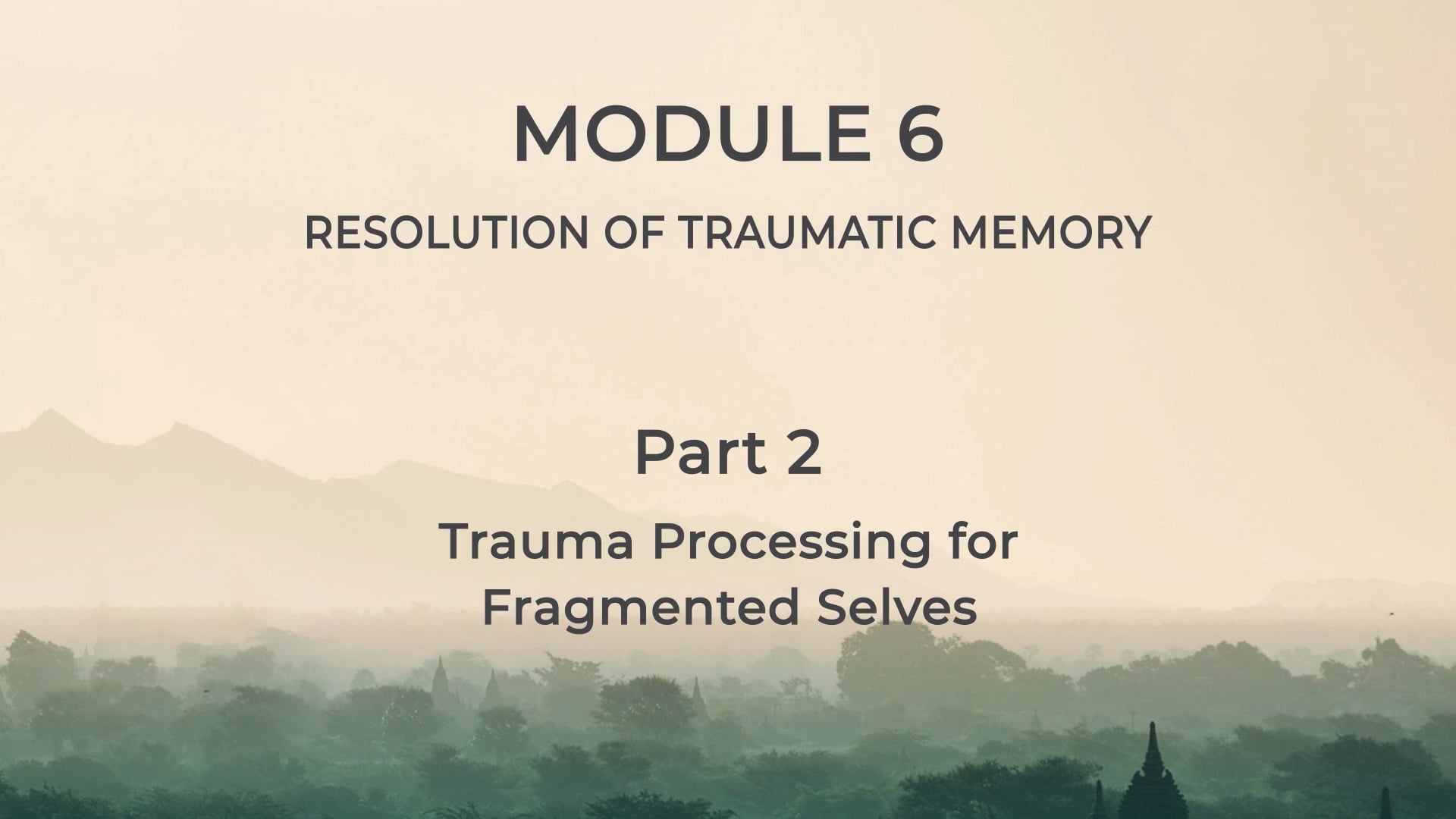 Module 6: Resolution of Traumatic Memory - learn.therapywisdom.com