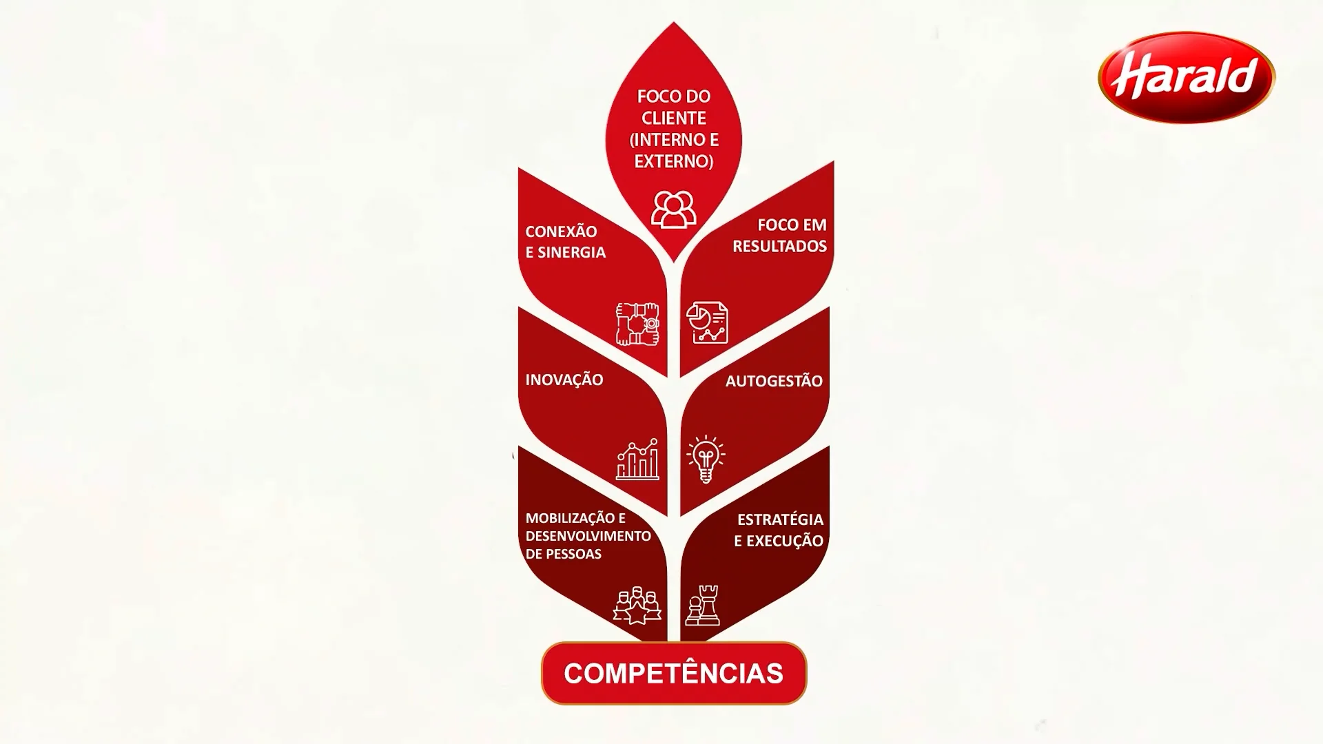 HARALD_FOCODOCLIENTE_(LEG INGLES)_V3