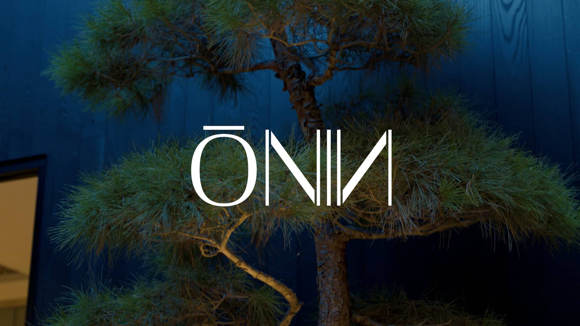 ONIN on Vimeo
