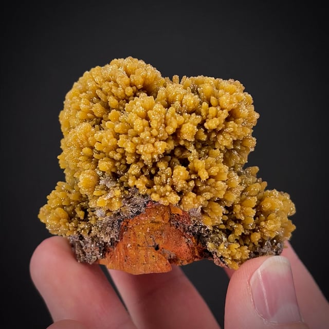 Mimetite (Rock Currier Collection) | Santa Eulalia, Aquiles Serdan ...
