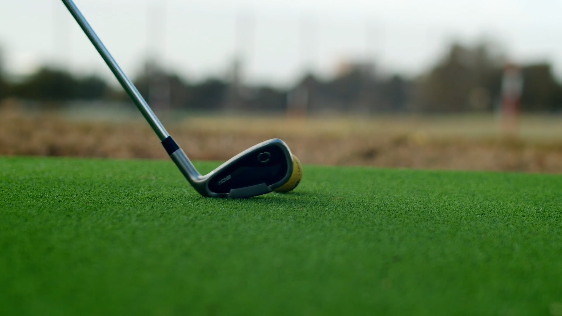 Turf Sales, Repair, and Installation - Phillips Turf Group